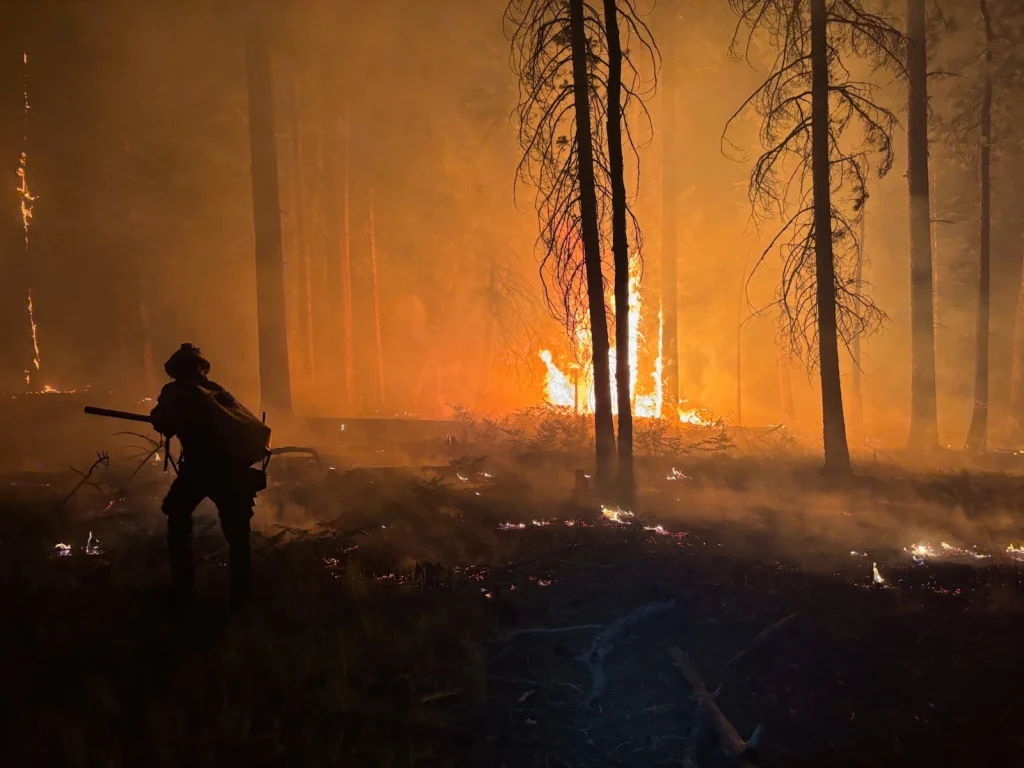 Dragon Bravo Fire destroys Grand Canyon Lodge and 50 to 80 structures ...