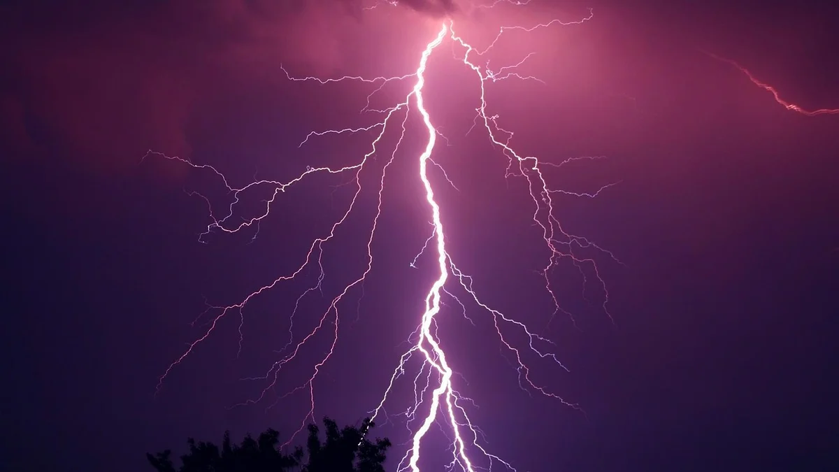 Lightning strike kills one in New Jersey, leaves 13 injured - The Watchers