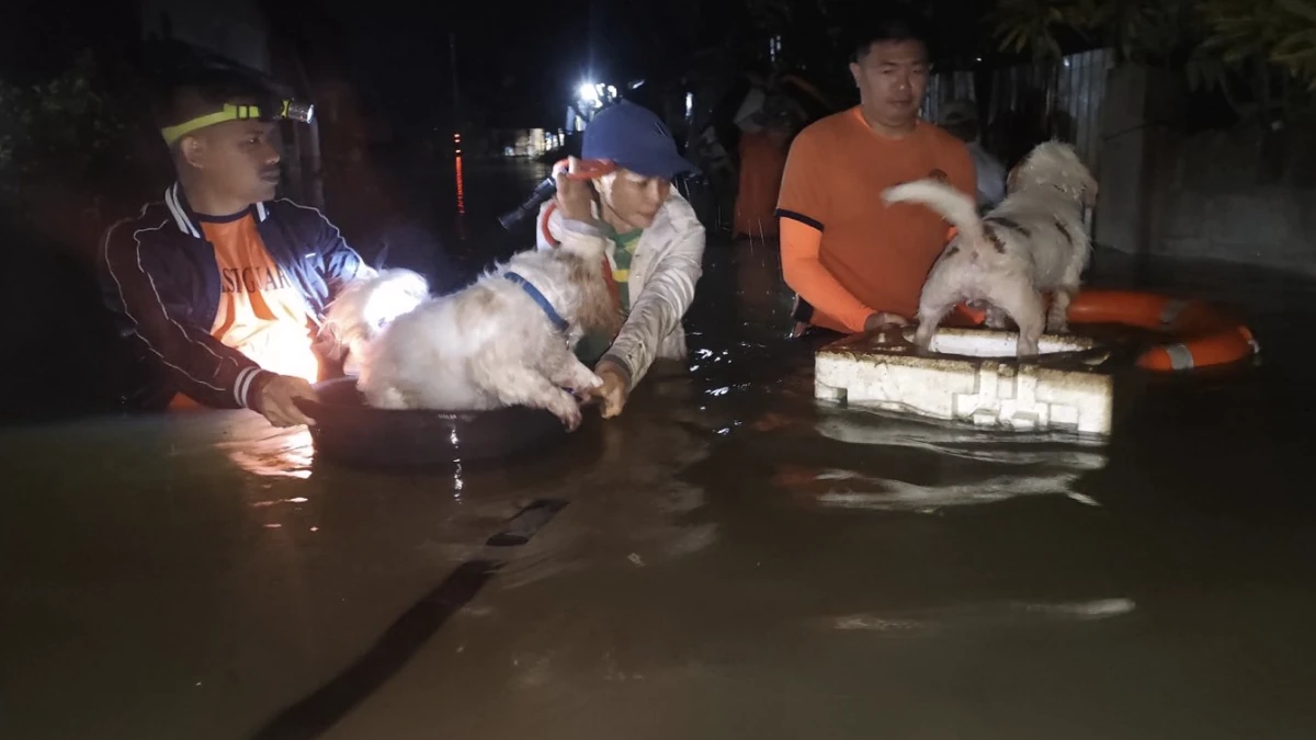 At least 10 dead as Tropical Storm Bualoi (Opong) sweeps through ...