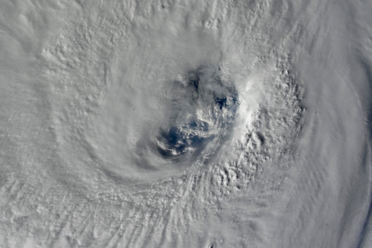 At least one dead as Typhoon Halong passes near Izu Islands, Japan ...