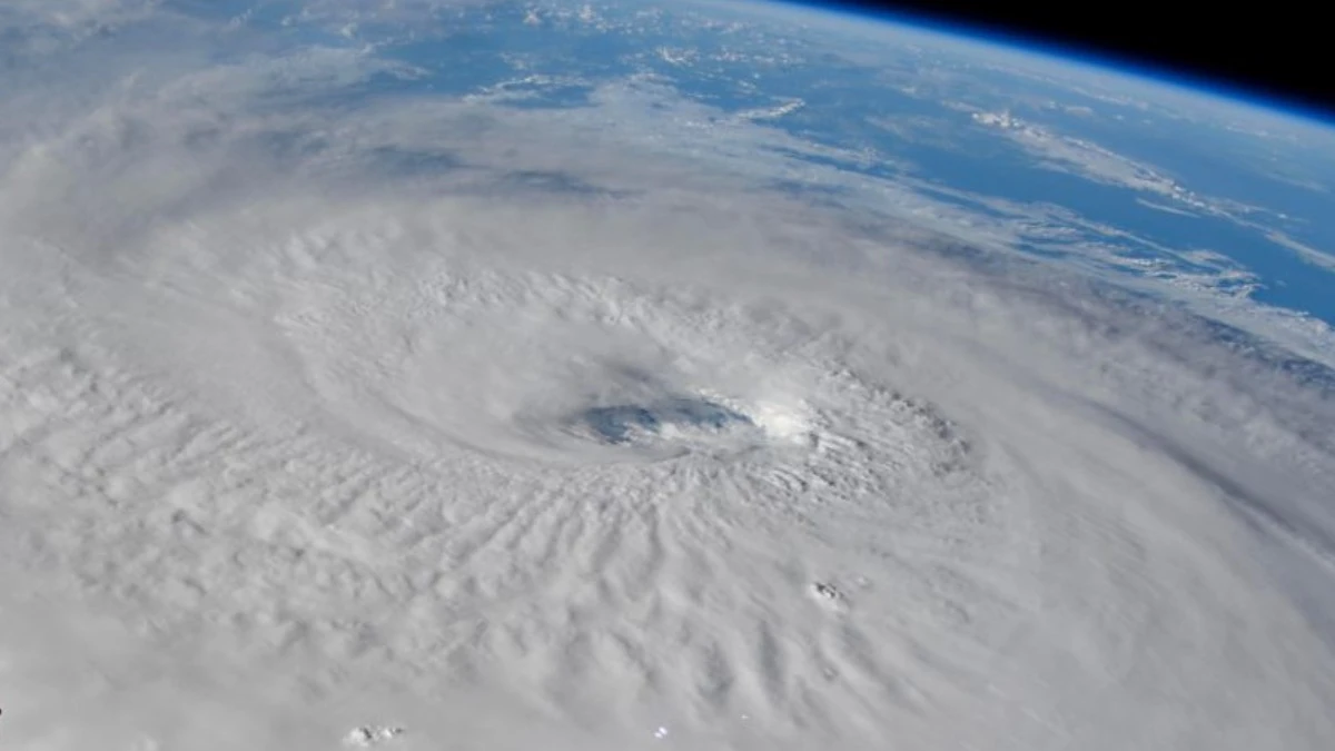 At least one dead as Typhoon Halong passes near Izu Islands, Japan ...